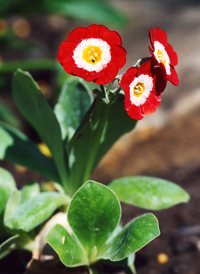 Blog Archives - bestgfiles